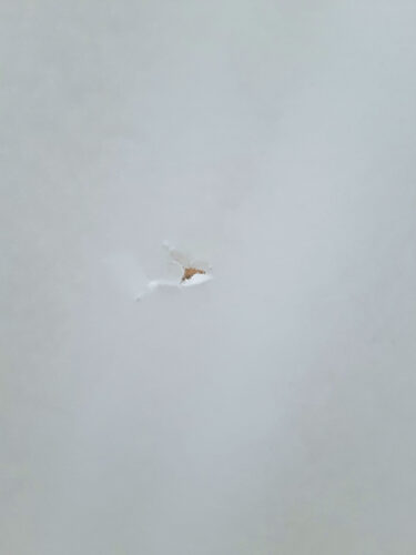 The Archer’s Guide to Arrow Tuning - Grit